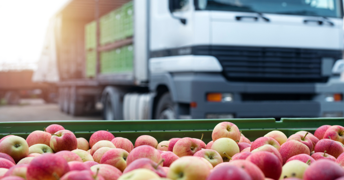What Are Perishable Goods? Storage & Transportation