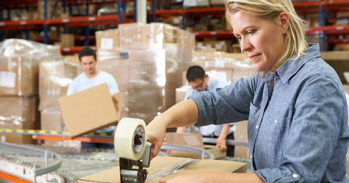 Mintsoft Quarterly Update July 2023 | Mintsoft